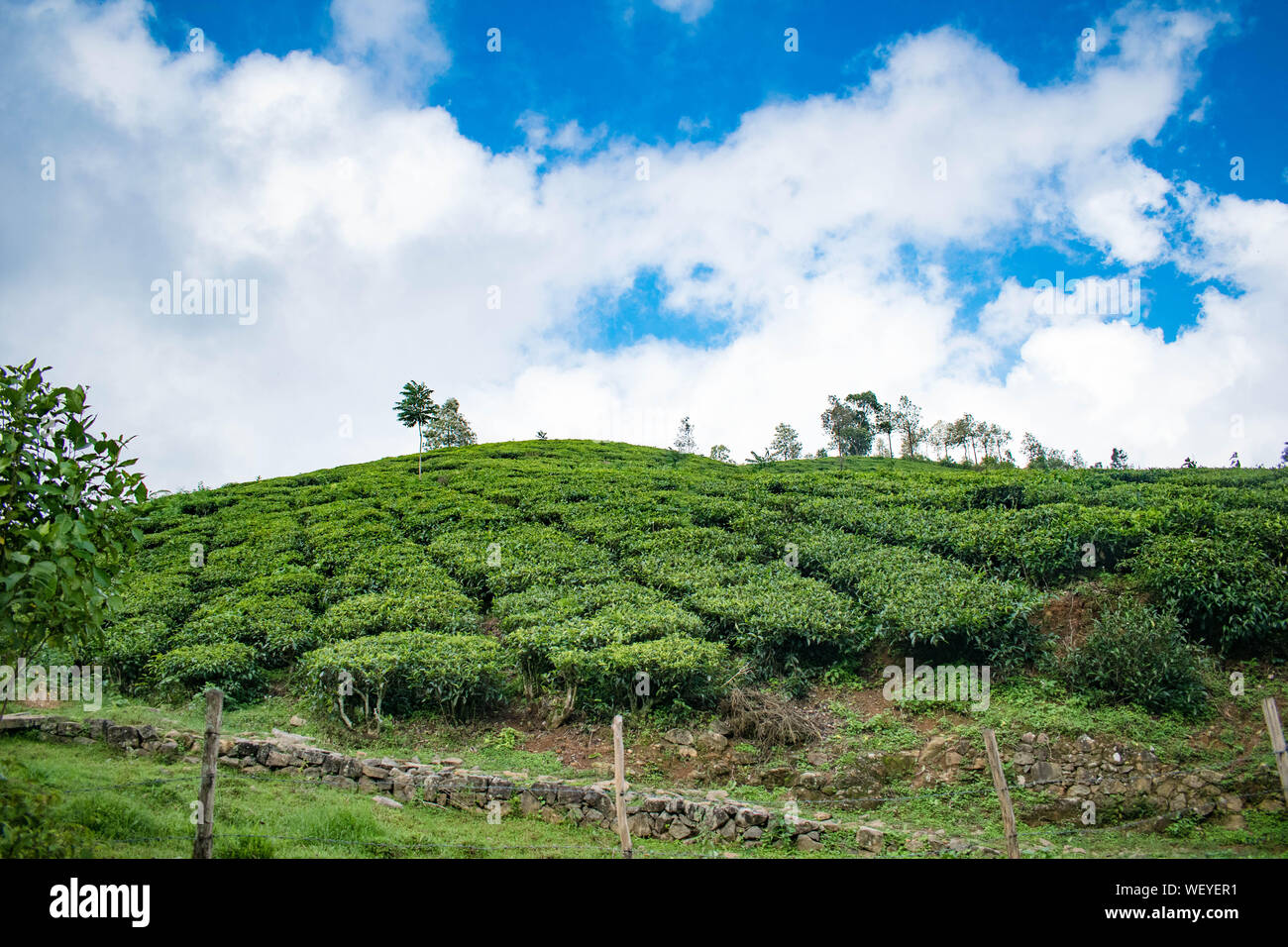 Vagamon view hi-res stock photography and images - Alamy