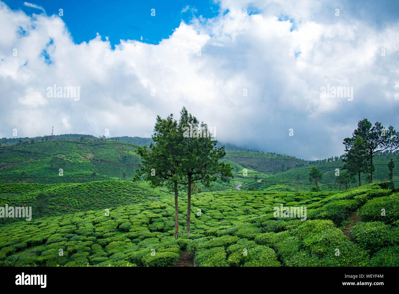 Vagamon hi-res stock photography and images - Alamy