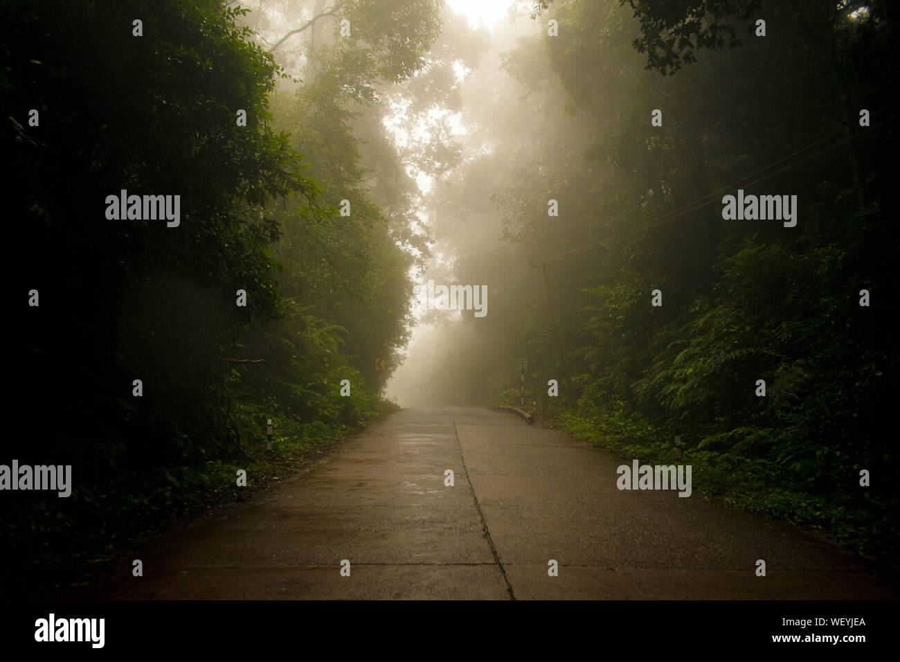 A misty mountain path through the hill stations Stock Photo - Alamy