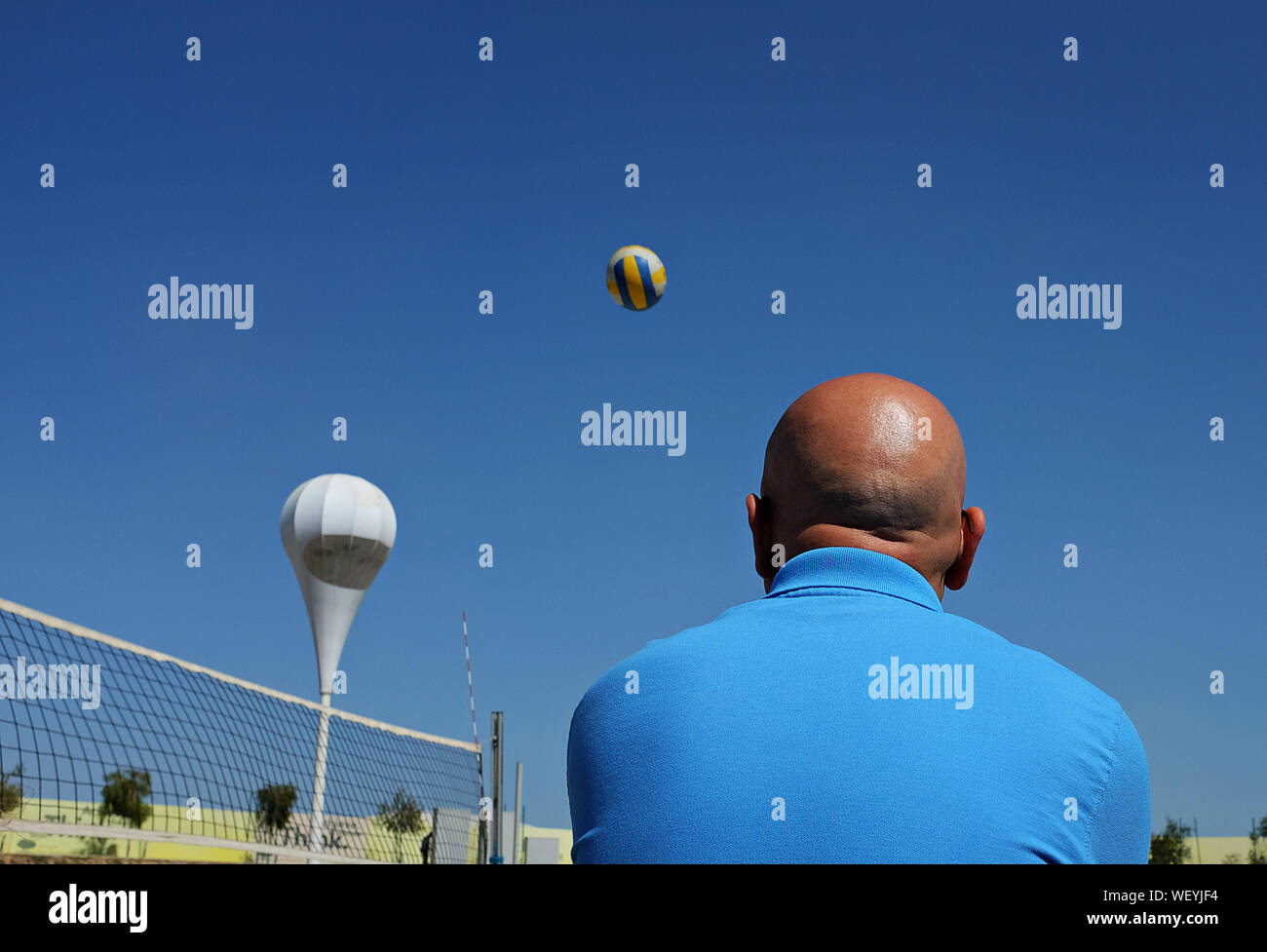 Back view man head bald hi-res stock photography and images - Alamy