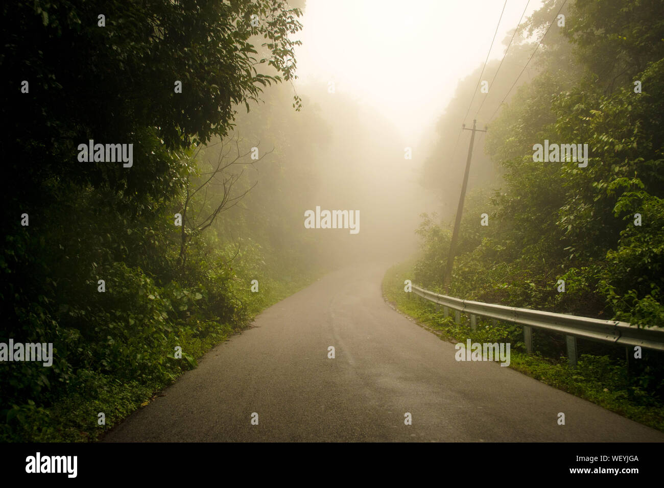 A misty mountain path through the hill stations Stock Photo - Alamy