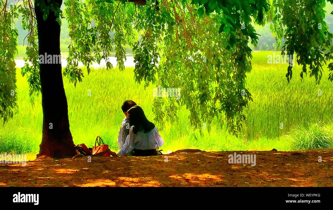 Woman Sitting Against Tree Trunk High Resolution Stock Photography and ...