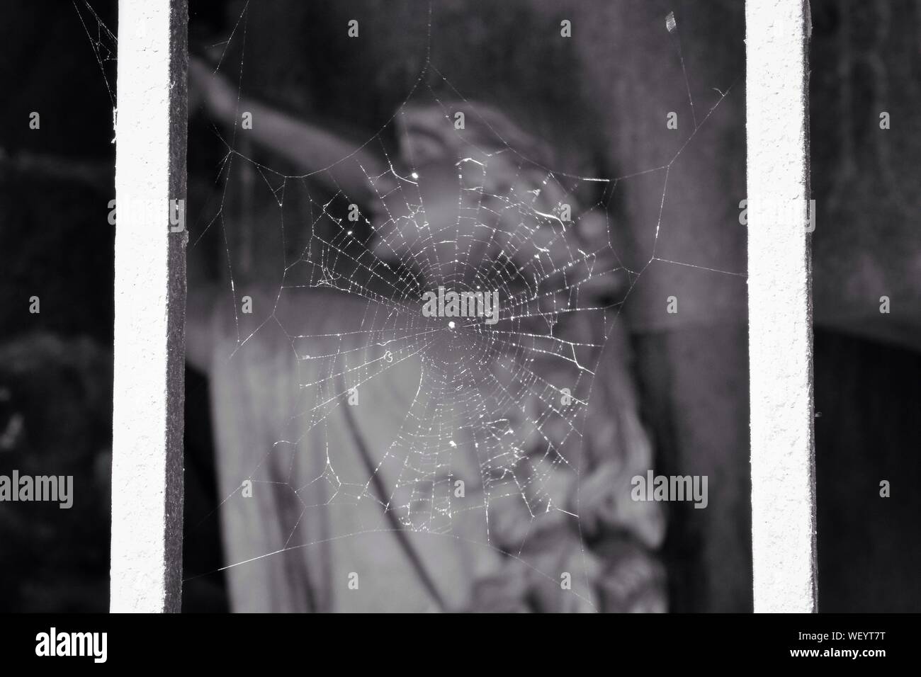 Window with spider web hi-res stock photography and images - Alamy