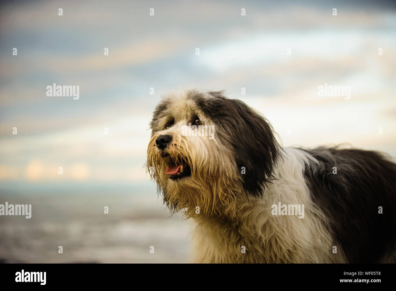 Polish lowland hi-res stock photography and images - Alamy