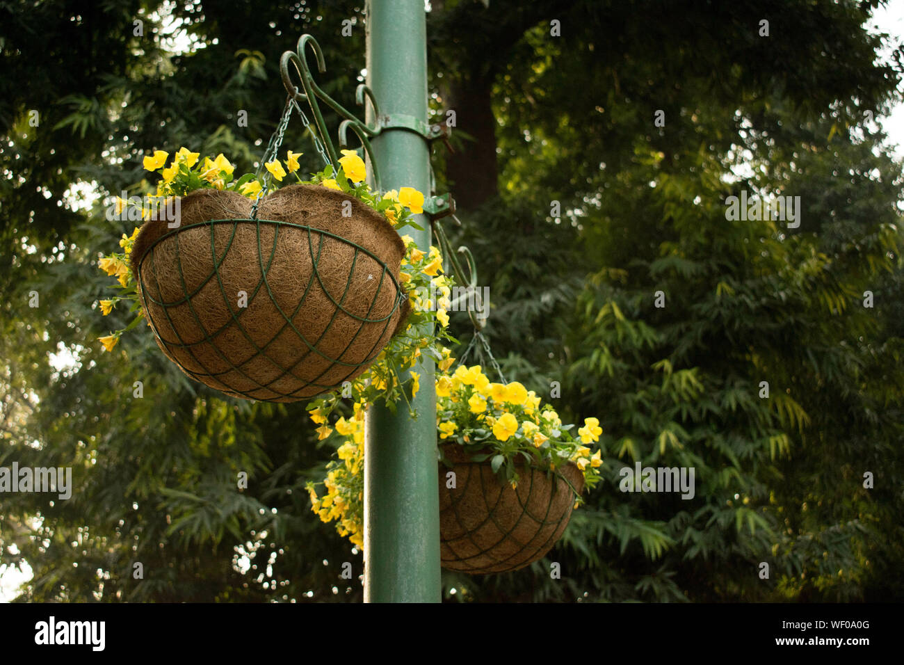 Bouquet filled with flowers hanging from the pole Stock Photo - Alamy