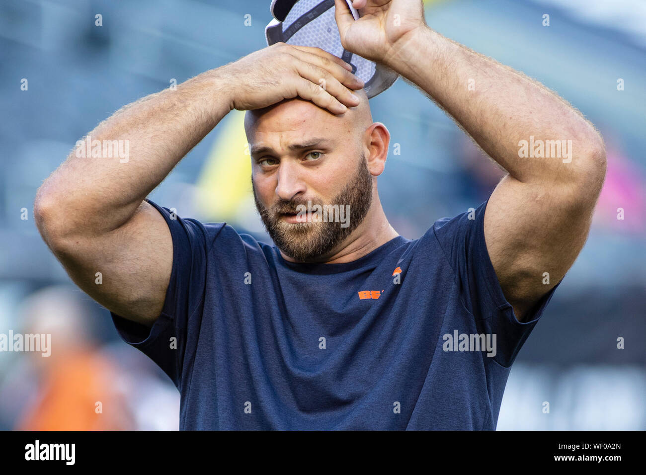 Kyle long bears hi-res stock photography and images - Alamy