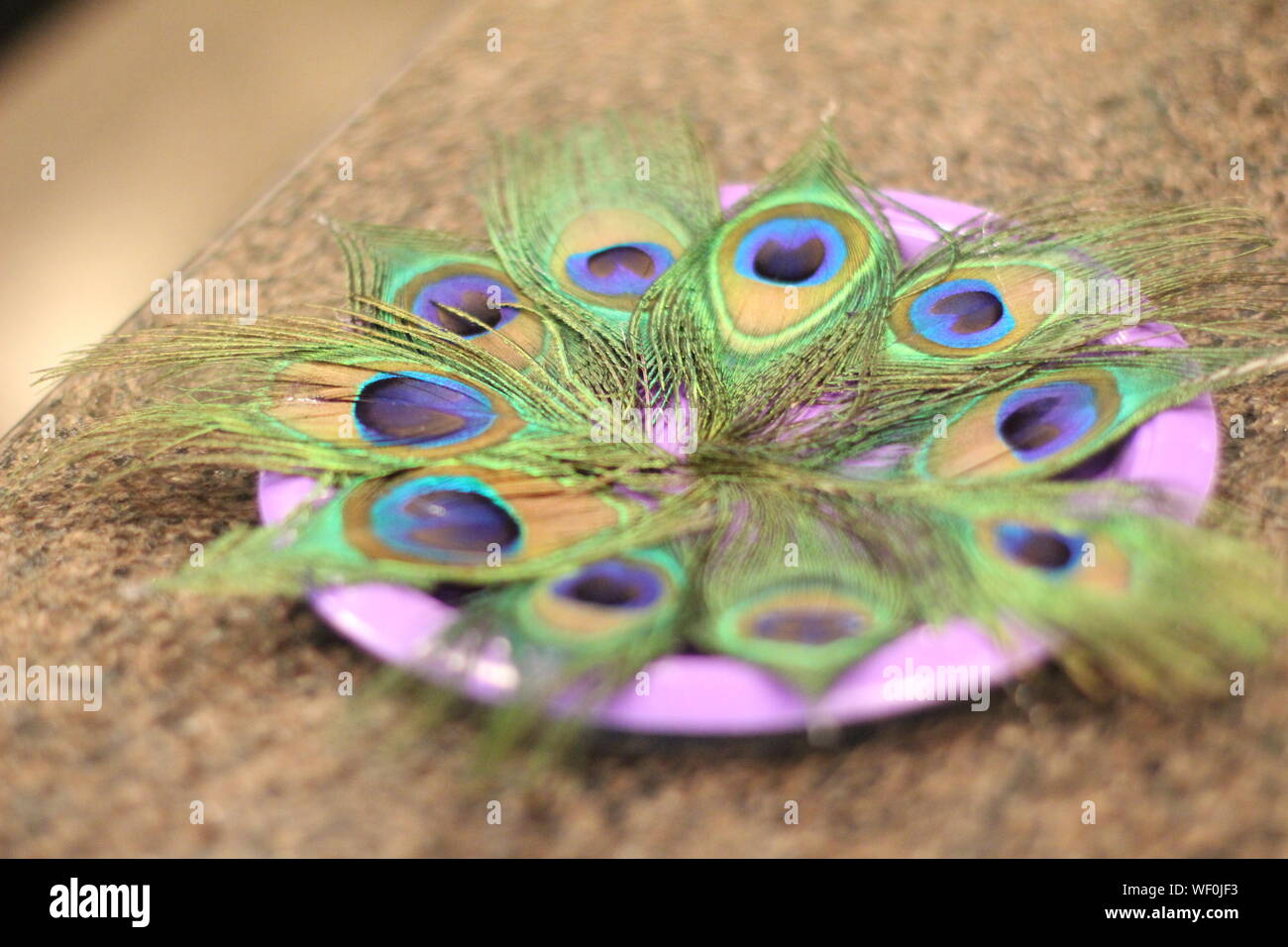 Colored feathers hi-res stock photography and images - Alamy