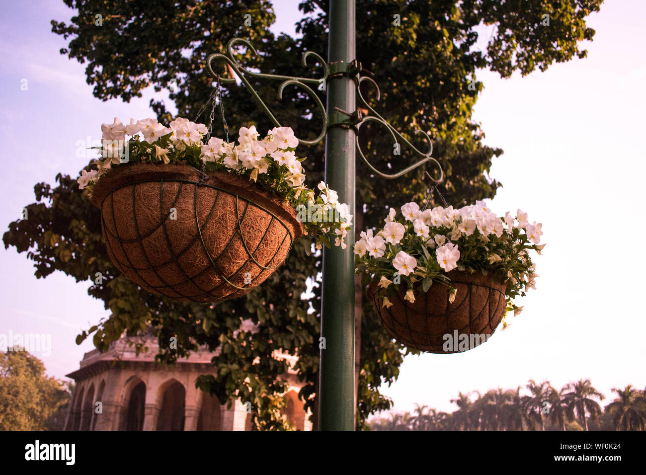 Bouquet filled with flowers hanging from the pole Stock Photo - Alamy