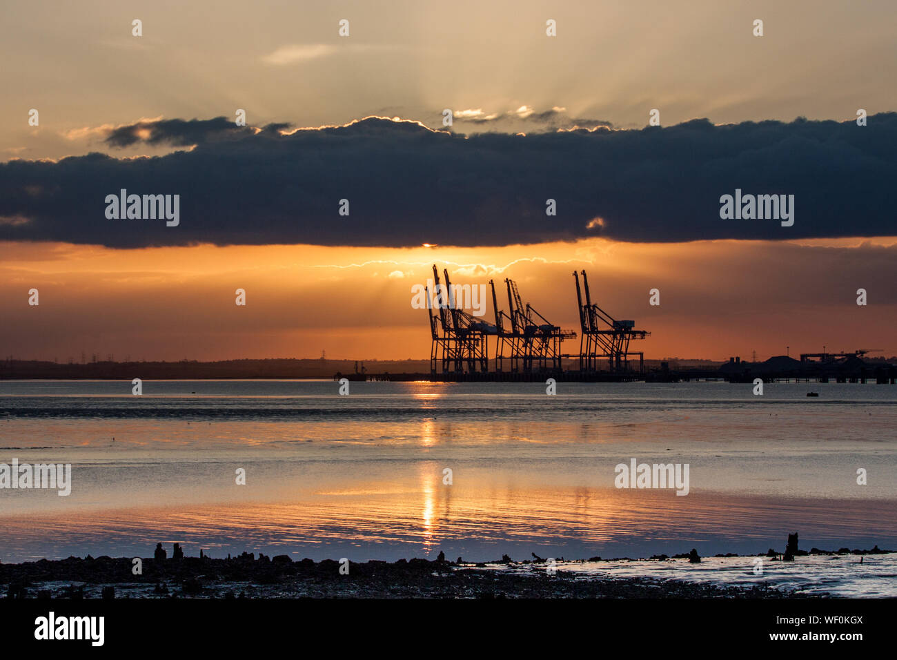 Container Cranes at Thamesport Stock Photo - Alamy