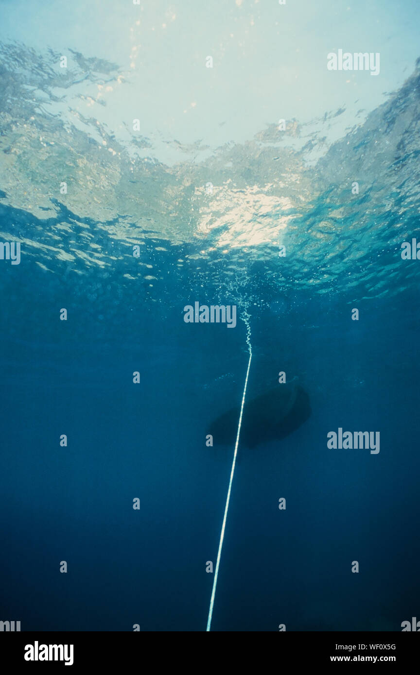 Underwater rope hi-res stock photography and images - Alamy