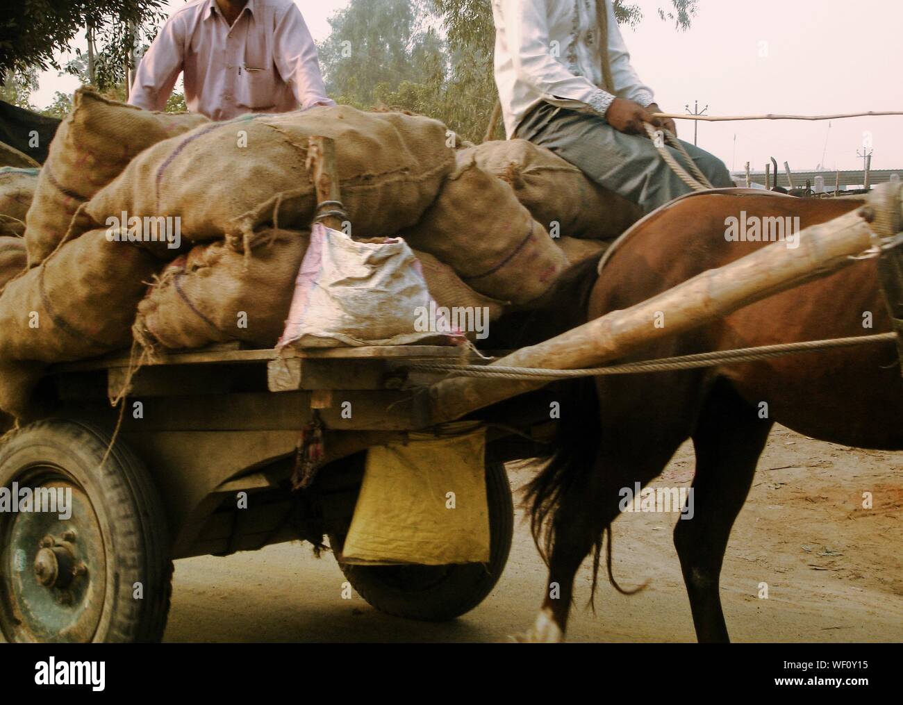 Sacks with goods hi-res stock photography and images - Alamy