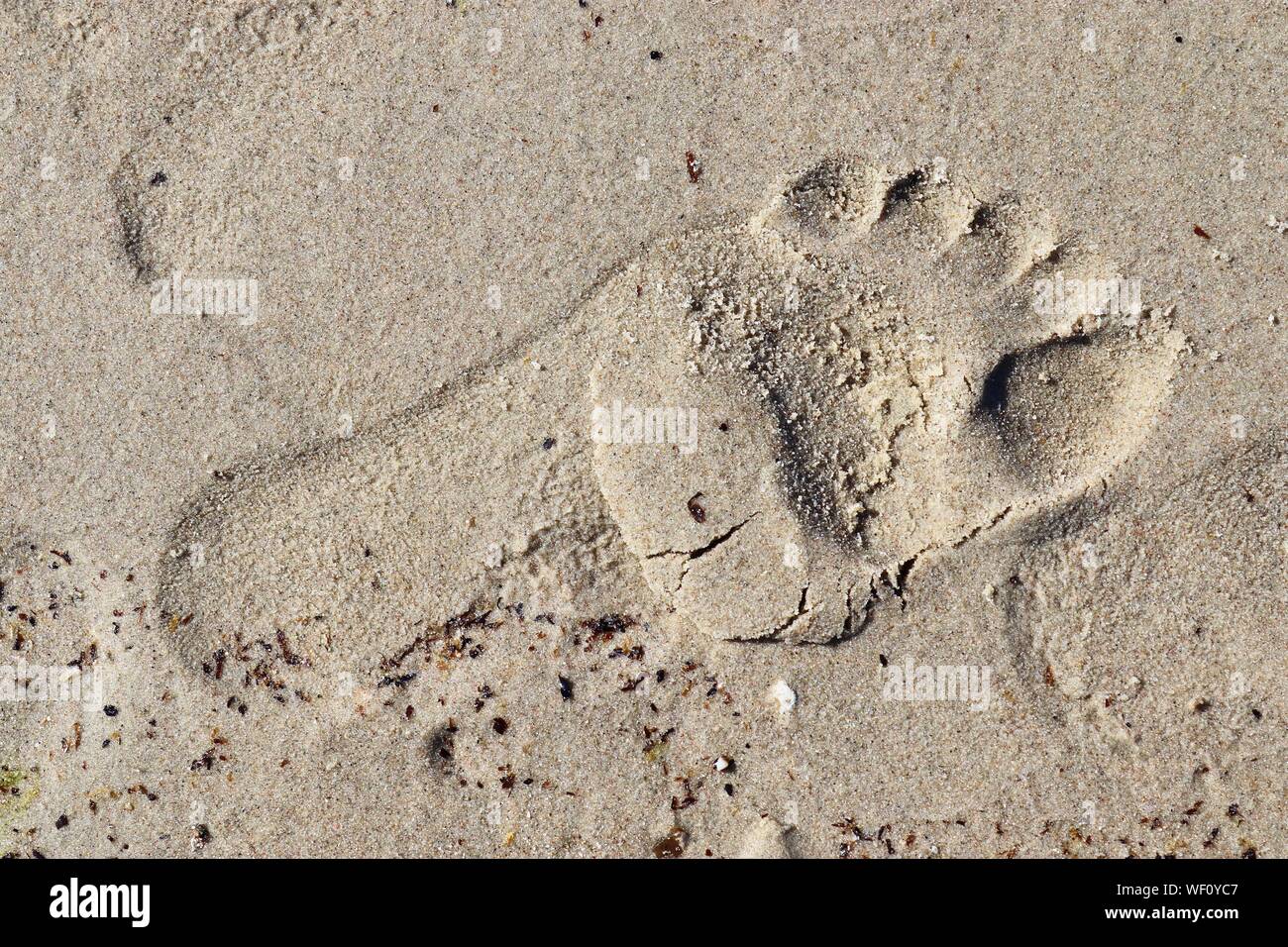 Beautiful detailed footprints in the sand at the beaches of the baltic ...