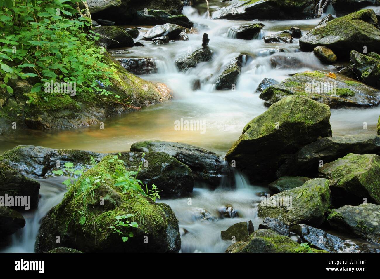 River awe hi-res stock photography and images - Alamy