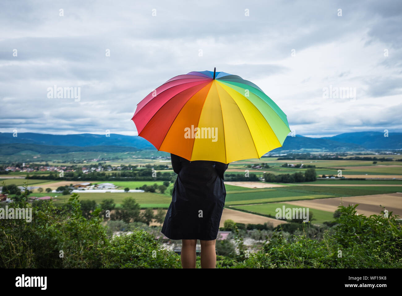 Colorful Real Umbrella