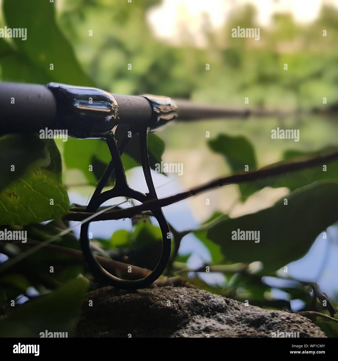 Cable tree hi-res stock photography and images - Alamy