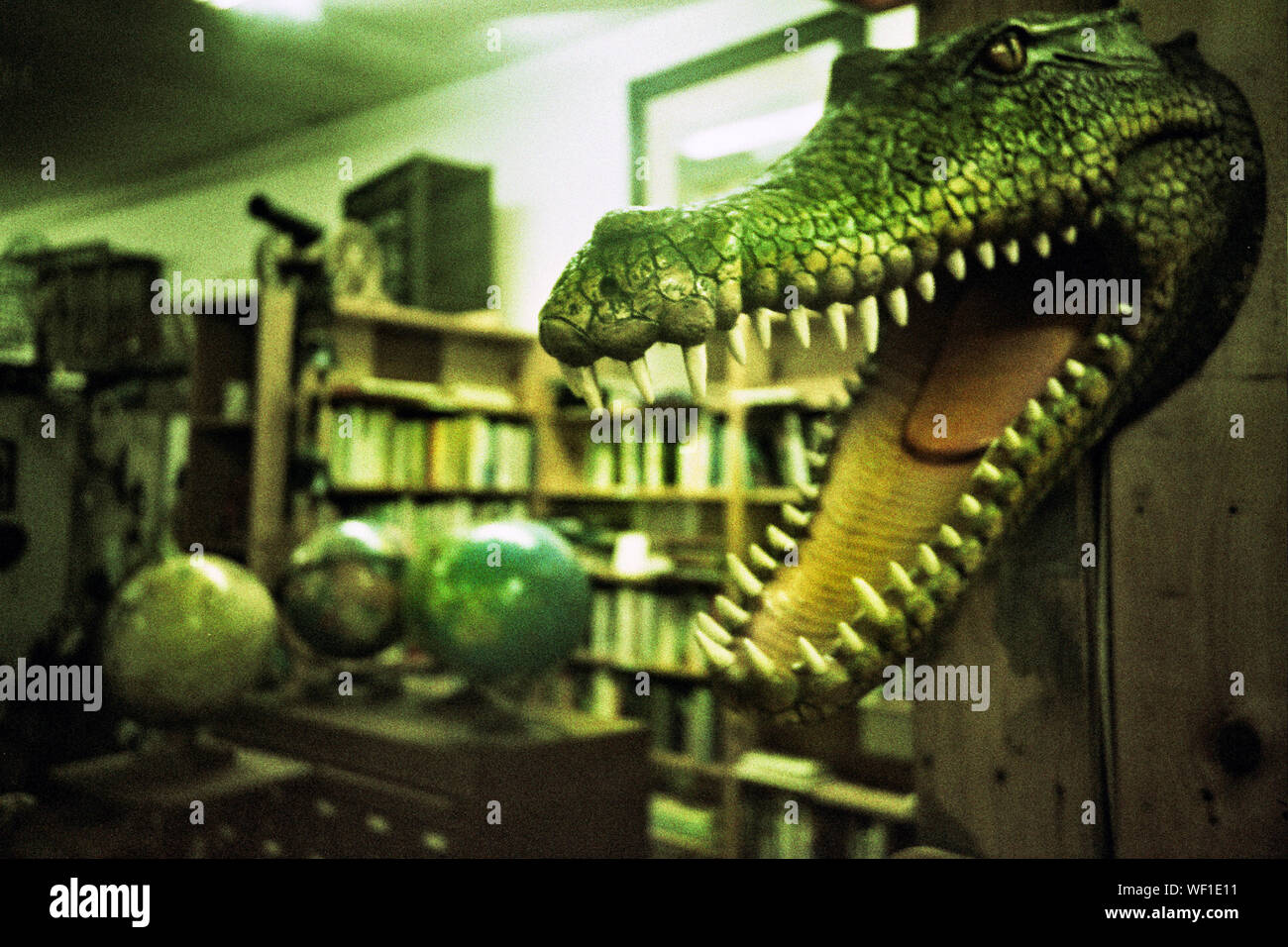 Crocodile Table High Resolution Stock Photography and Images - Alamy