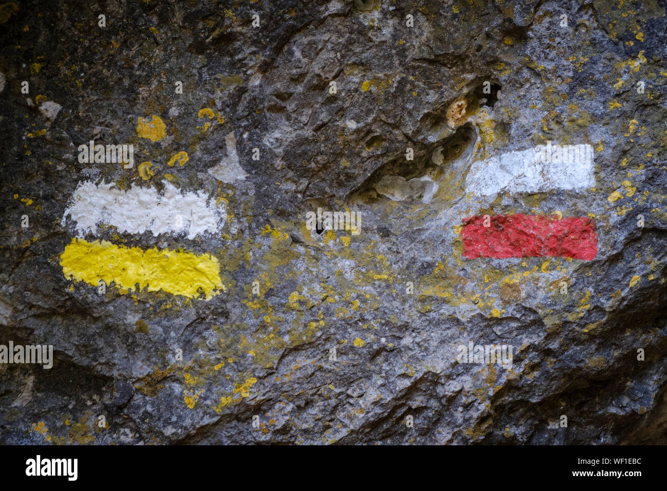 Gran león hi-res stock photography and images - Alamy