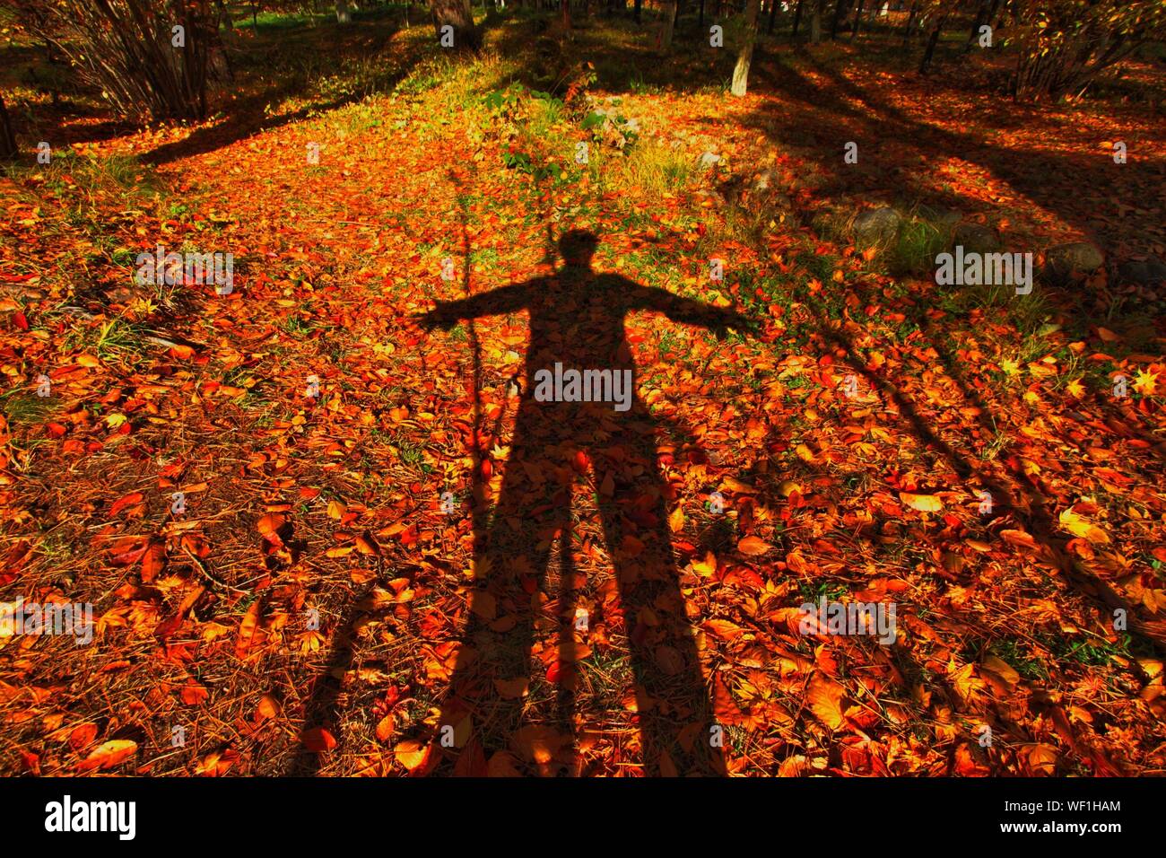 Ground arms hi-res stock photography and images - Alamy