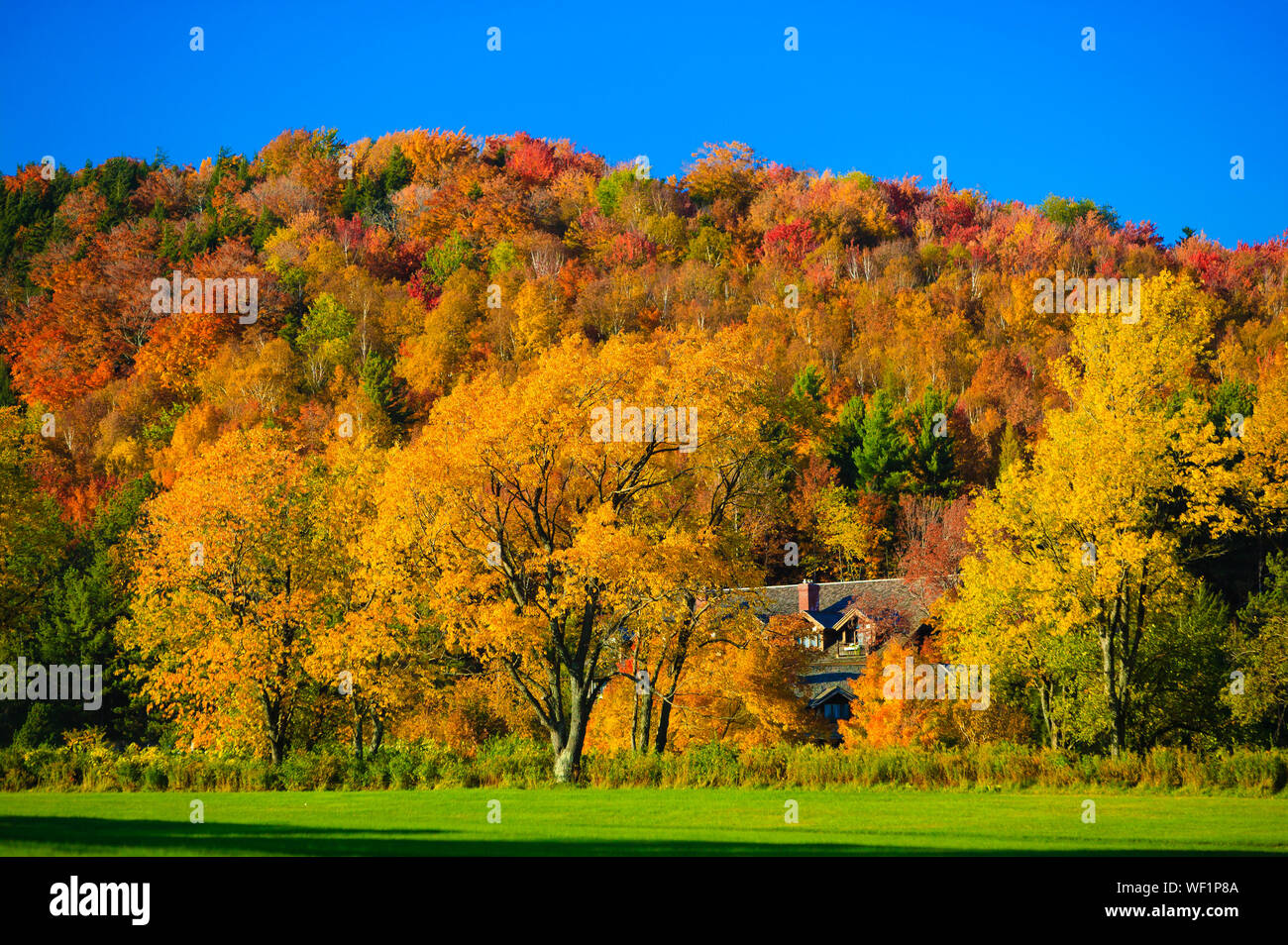 Trapp Family Lodge surrounded by fall foliage, Stowe, Vermont, USA ...