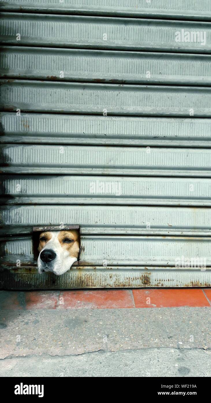 Trying to get out hi-res stock photography and images - Alamy