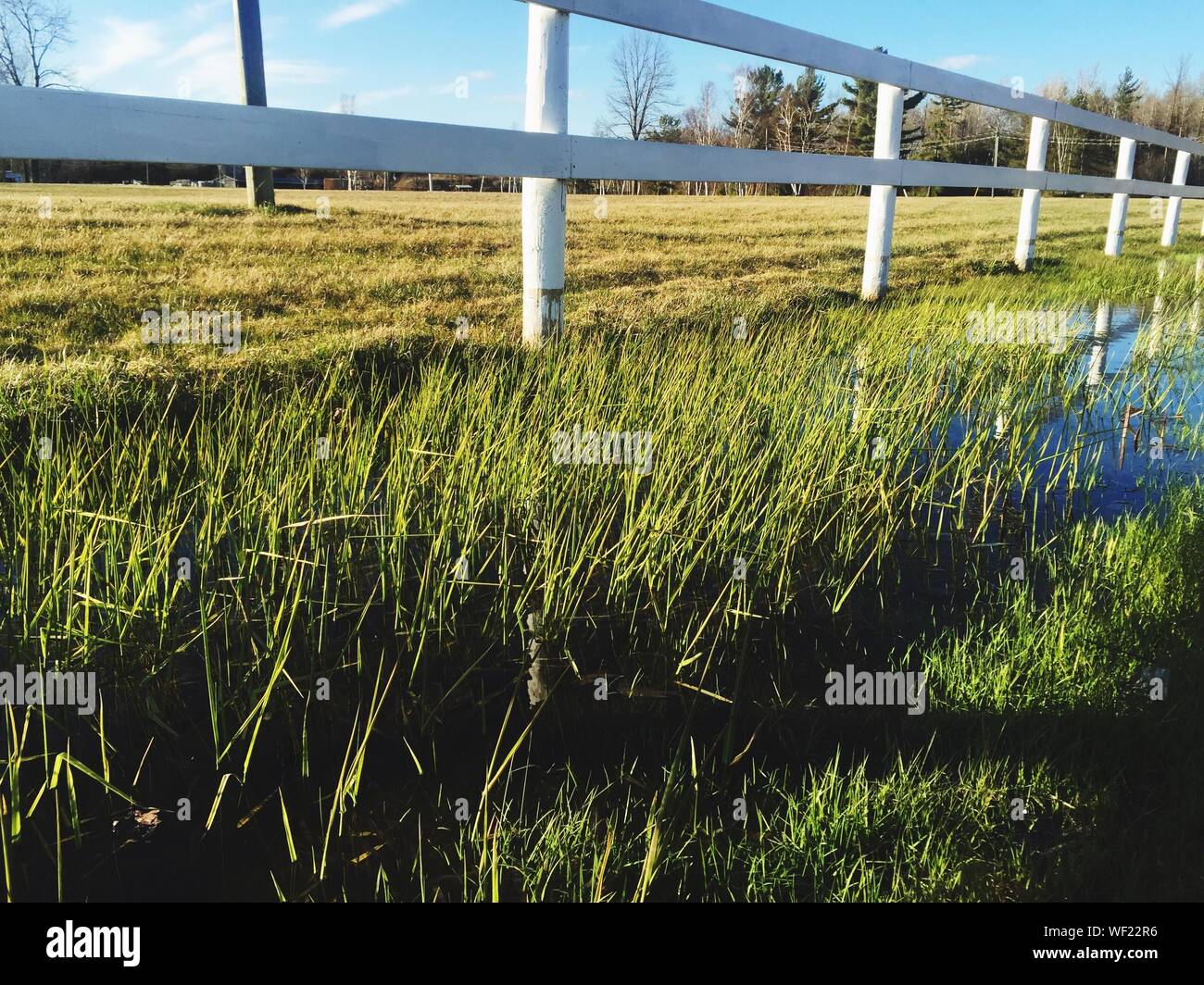 White pasture fence hi-res stock photography and images - Alamy