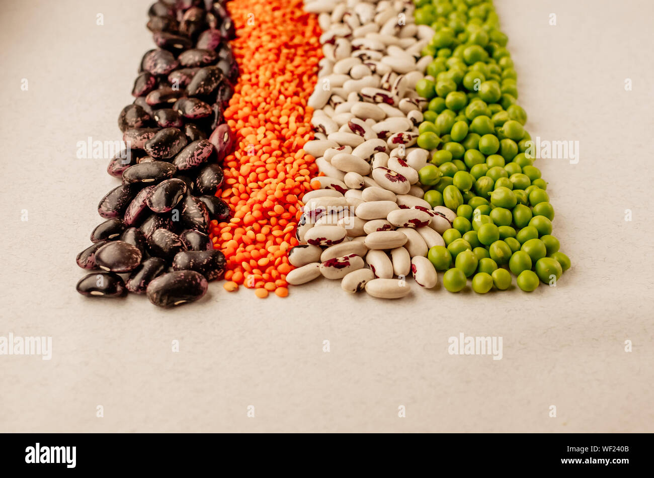 Collection set of various dried legumes laid out in a horizontal line ...