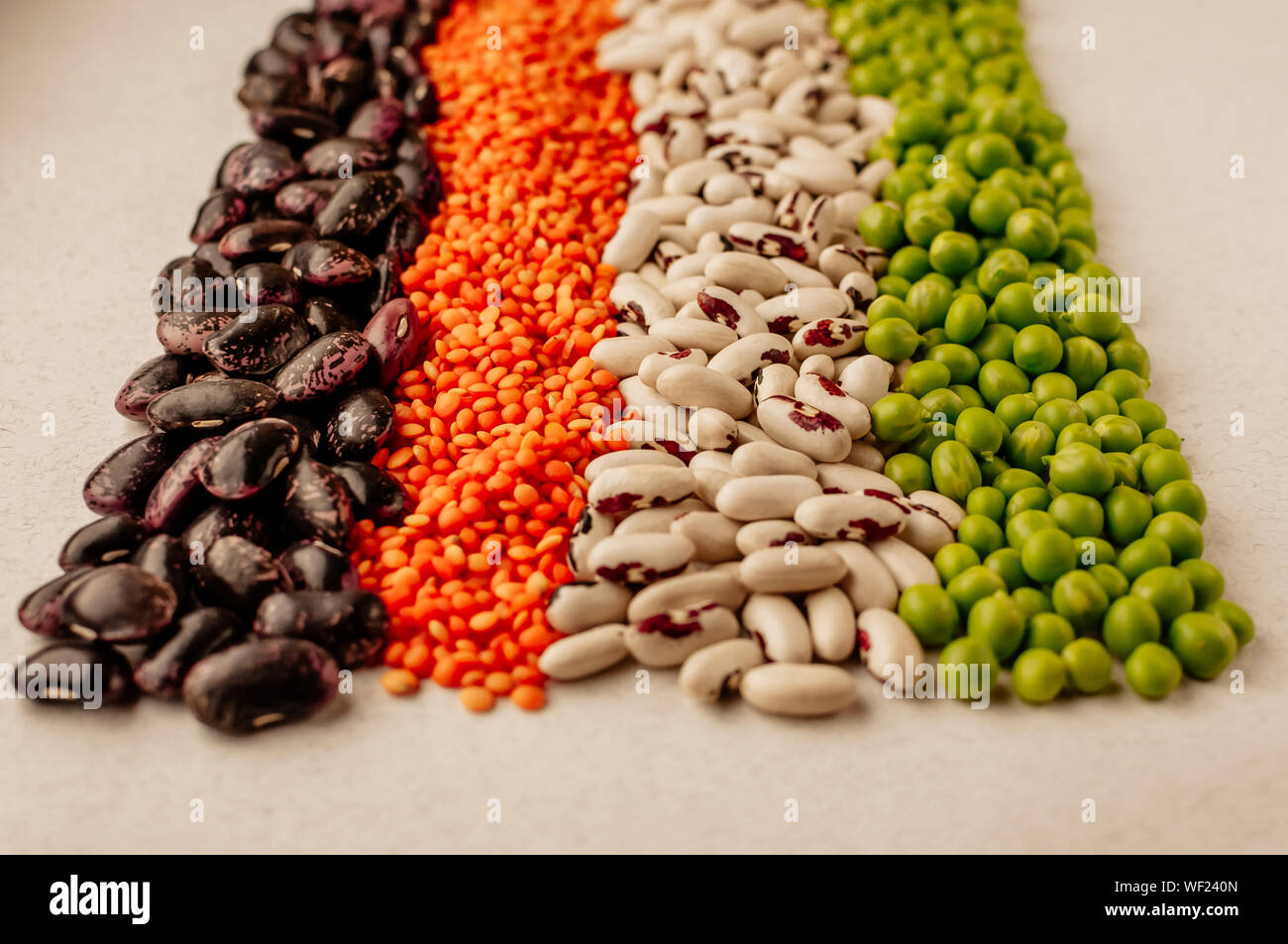 Collection set of various dried legumes laid out in a horizontal line ...