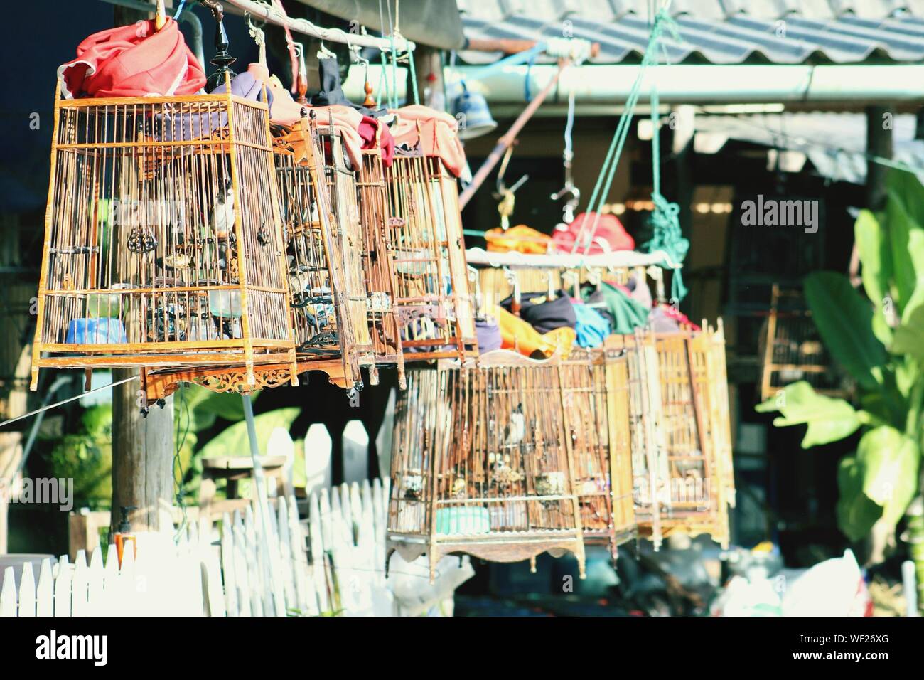 Row cages hi-res stock photography and images - Alamy