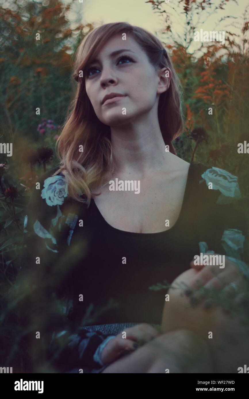 Woman in wildflower field hi-res stock photography and images - Alamy