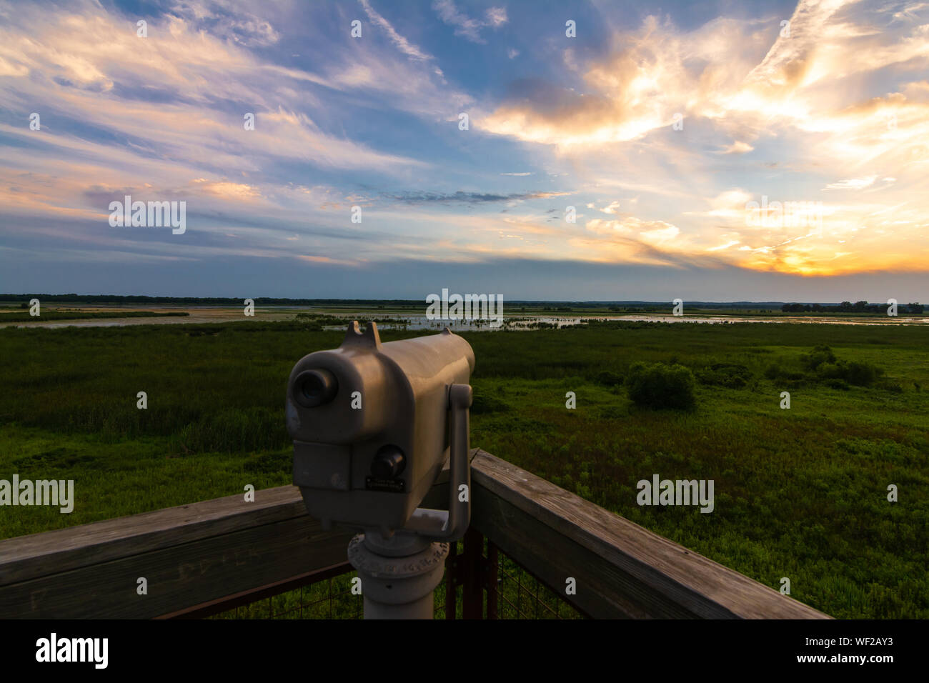 Wetlands observation platform hi-res stock photography and images - Alamy