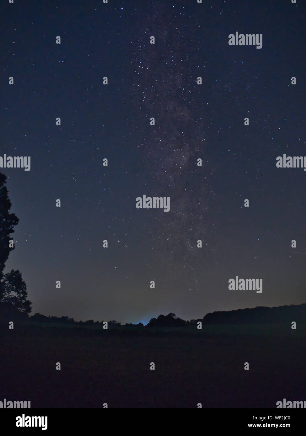 Milky Way with an big old green tree on the hill Stock Photo - Alamy