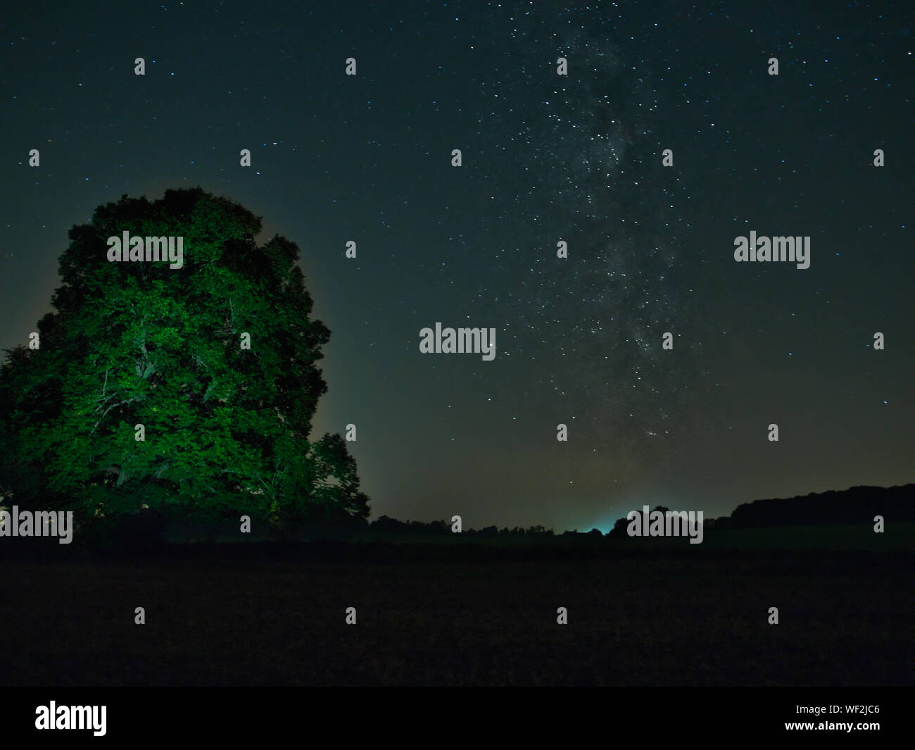 Milky Way with an big old green tree on the hill Stock Photo - Alamy