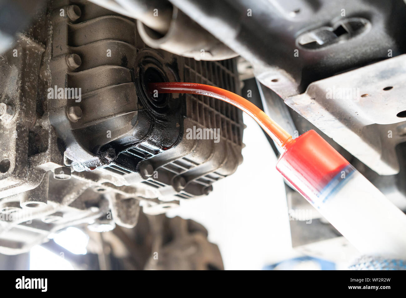 Changing engine oil in a passenger car. Car on a lift in a car service ...