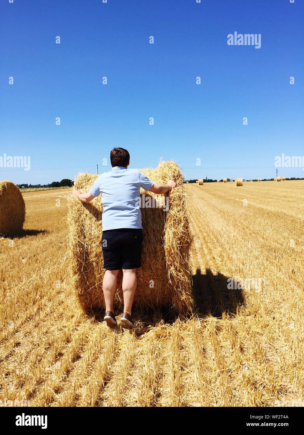 T hay hi-res stock photography and images - Alamy