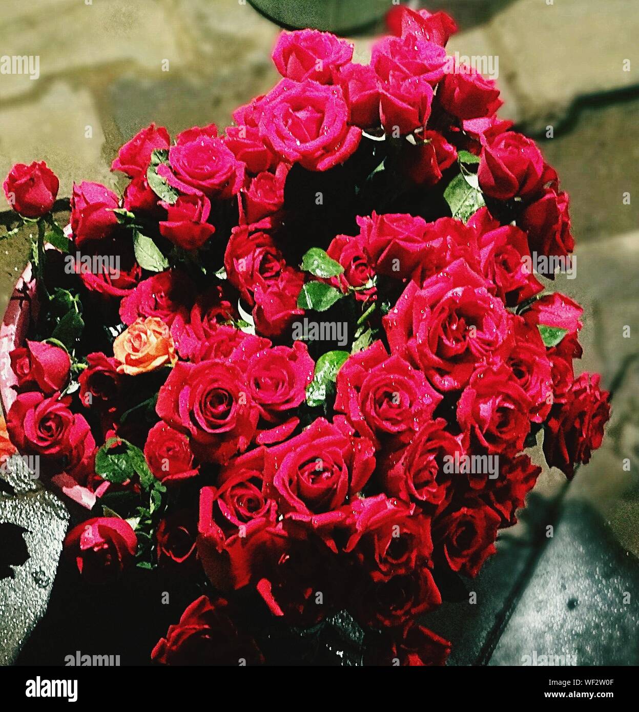 Red roses bunch hi-res stock photography and images - Alamy