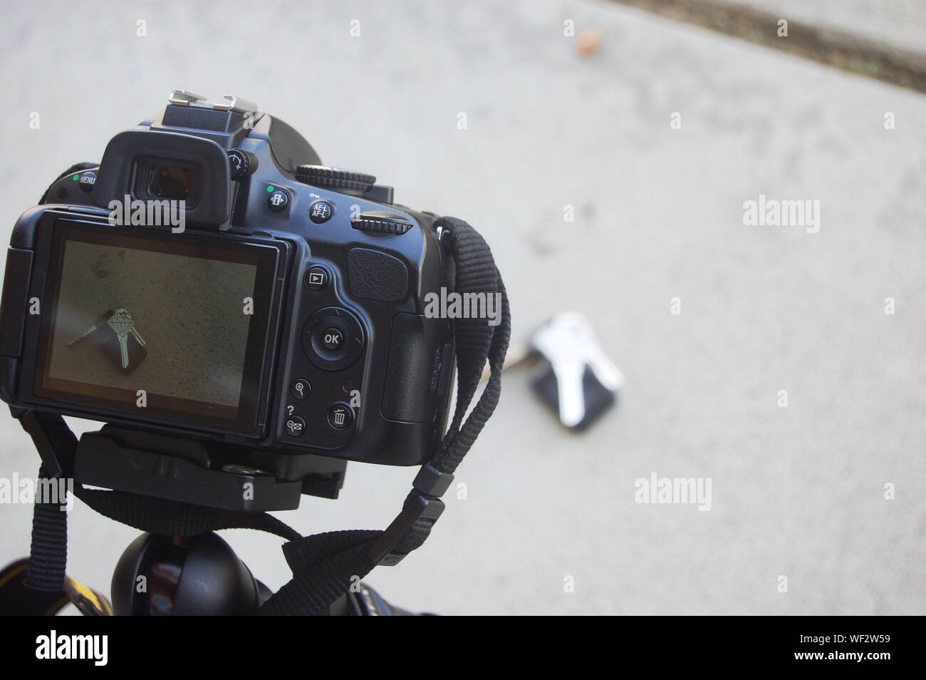Slr camera screen hi-res stock photography and images - Alamy