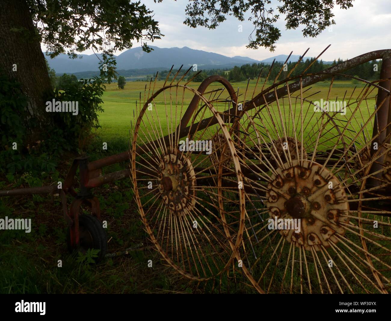 Field rake hi-res stock photography and images - Alamy