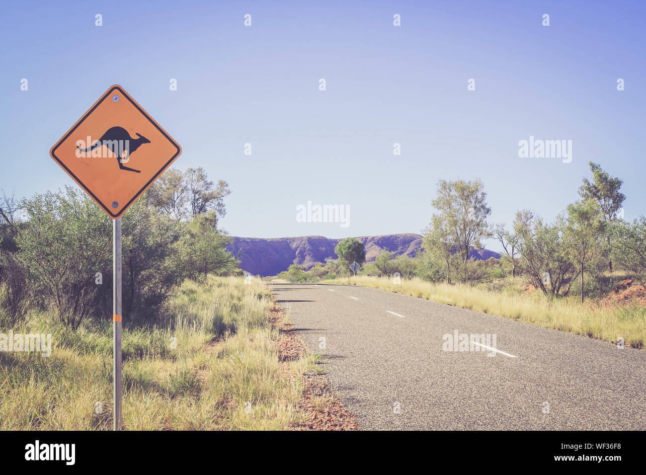 Kangaroo Crossing Road High Resolution Stock Photography and Images - Alamy