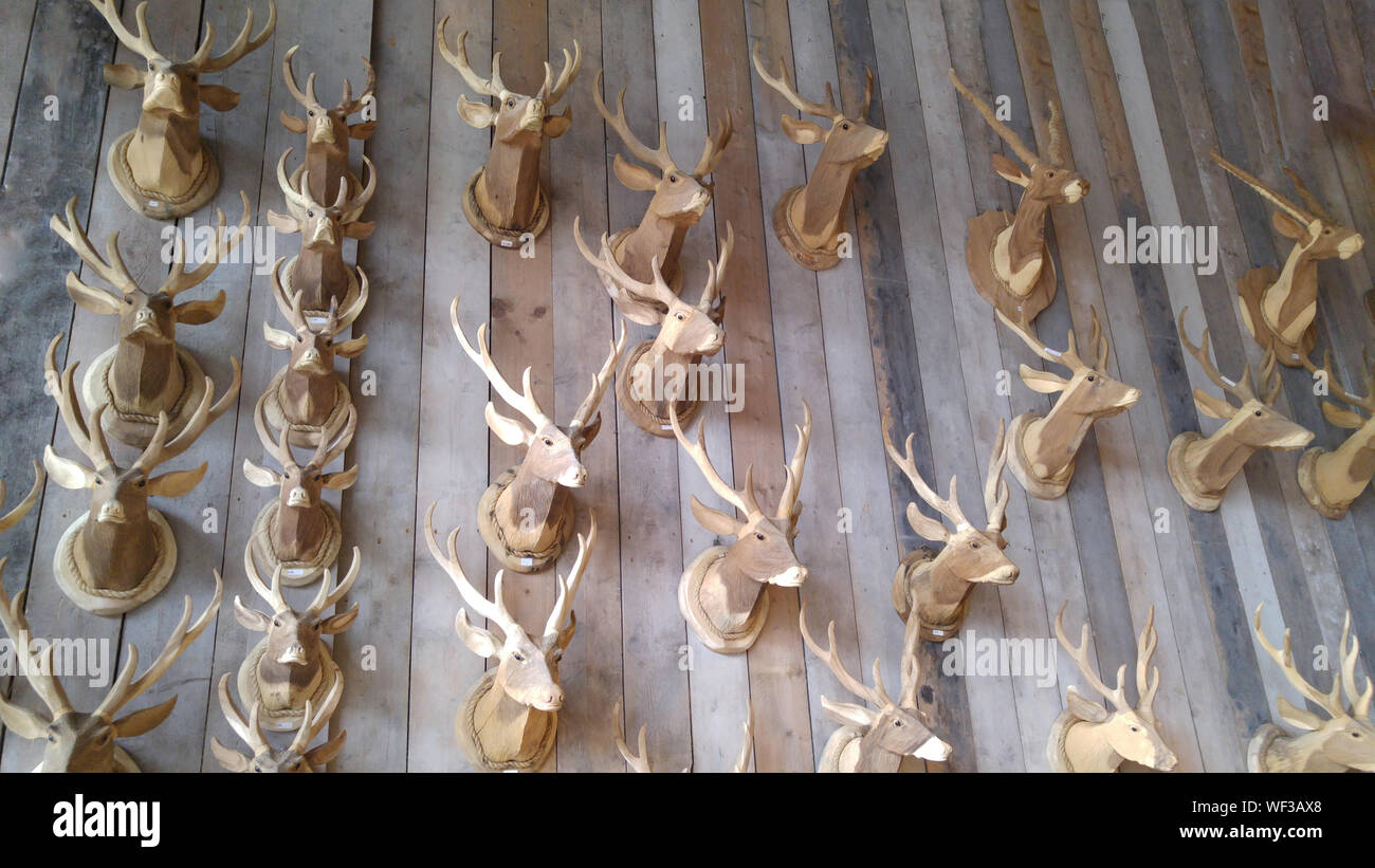 Animal Hunting Trophies High Resolution Stock Photography and Images ...