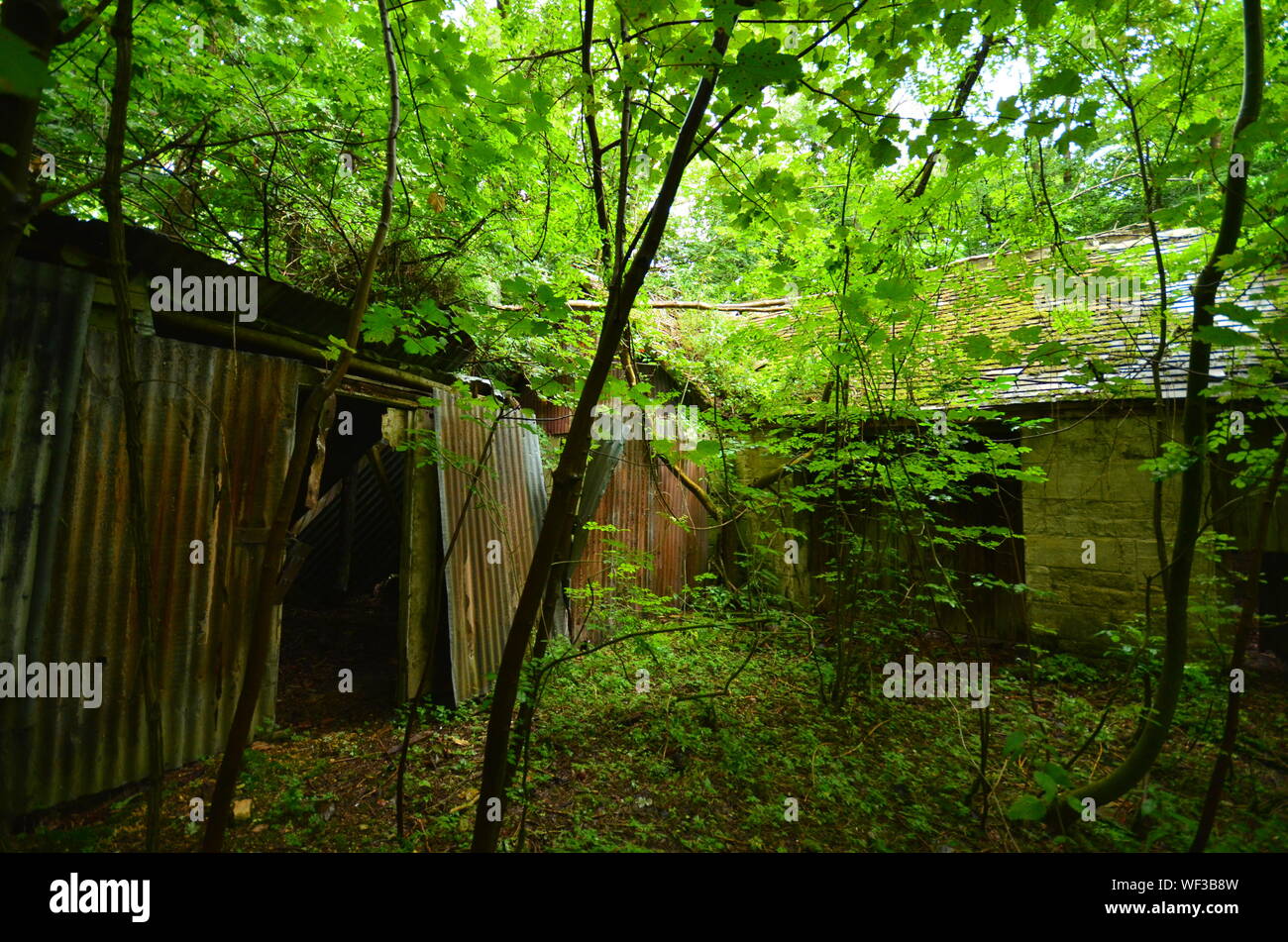 Beauty in abandoned buildings hi-res stock photography and images - Alamy