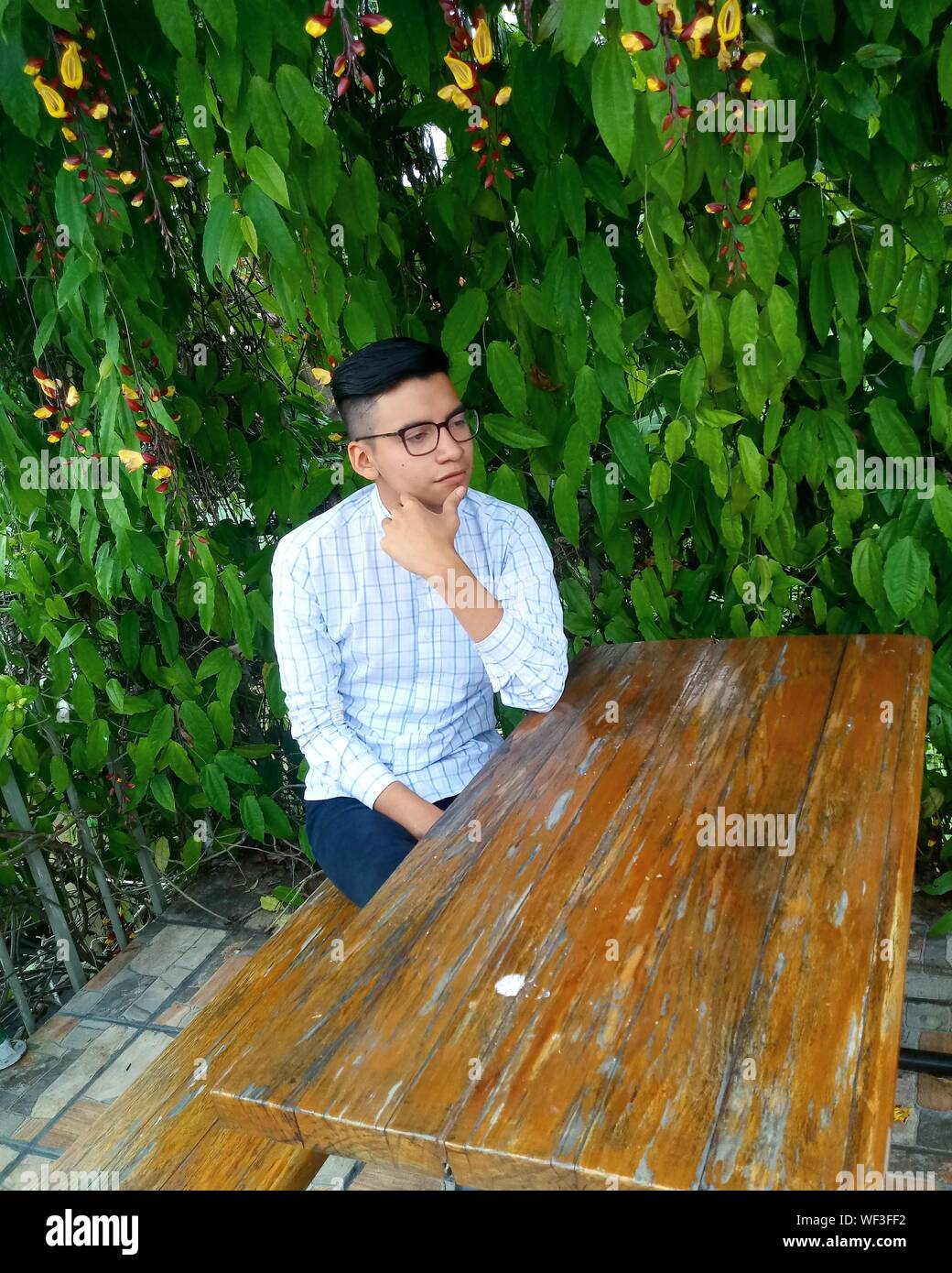 People sitting at picnic table hi-res stock photography and images - Alamy