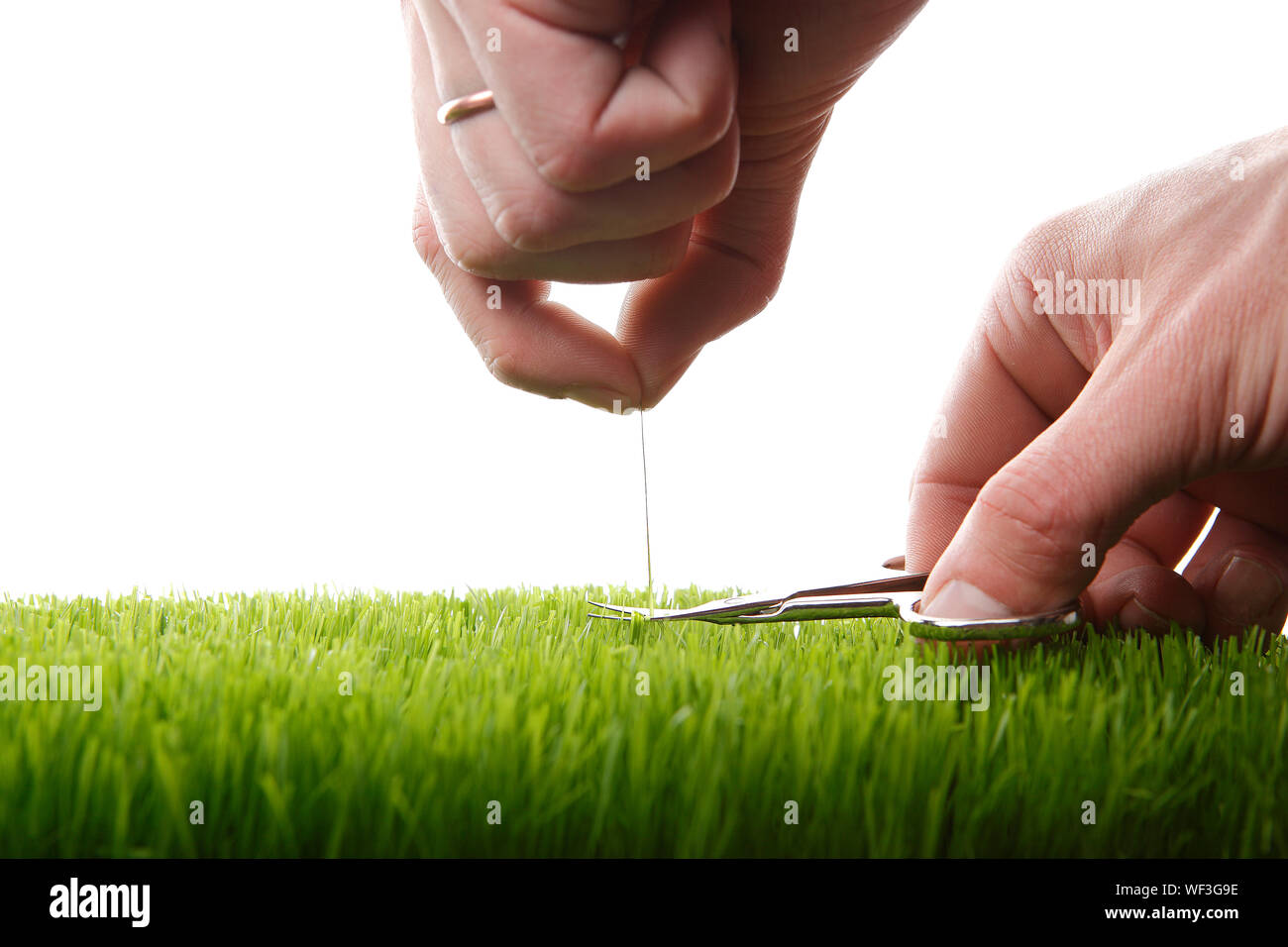 Cutting grass with scissors hi-res stock photography and images - Alamy