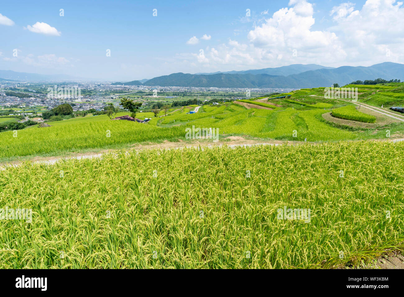 Tanada japan hi-res stock photography and images - Alamy