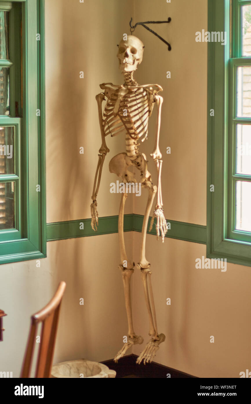 Skeleton Hanging High Resolution Stock Photography and Images - Alamy