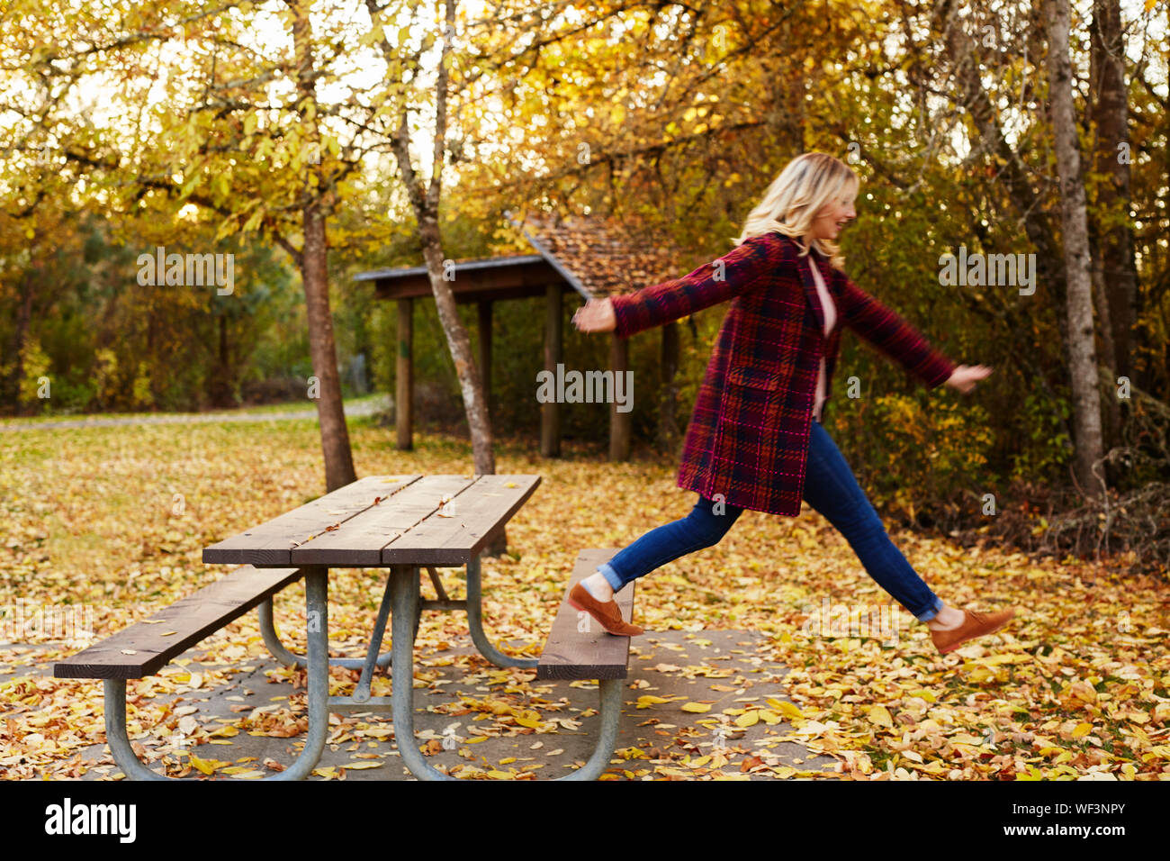 Man jumping from tree hi-res stock photography and images - Alamy