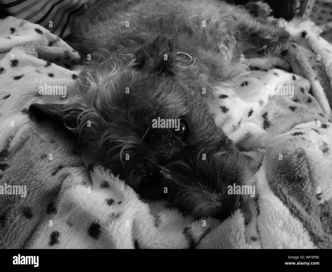 Liversedge Black and White Stock Photos & Images - Alamy