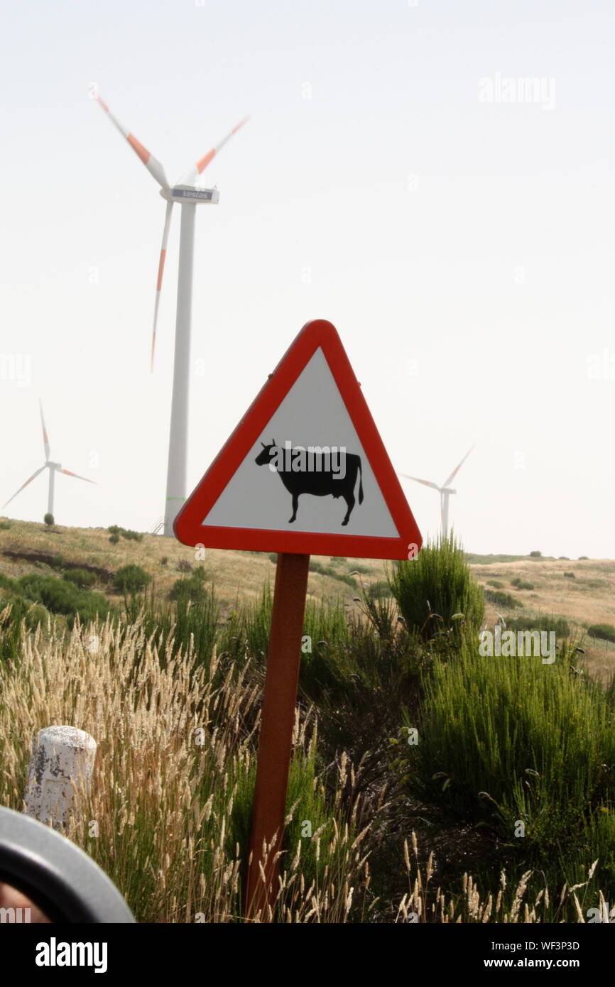 Cow with sign hi-res stock photography and images - Alamy