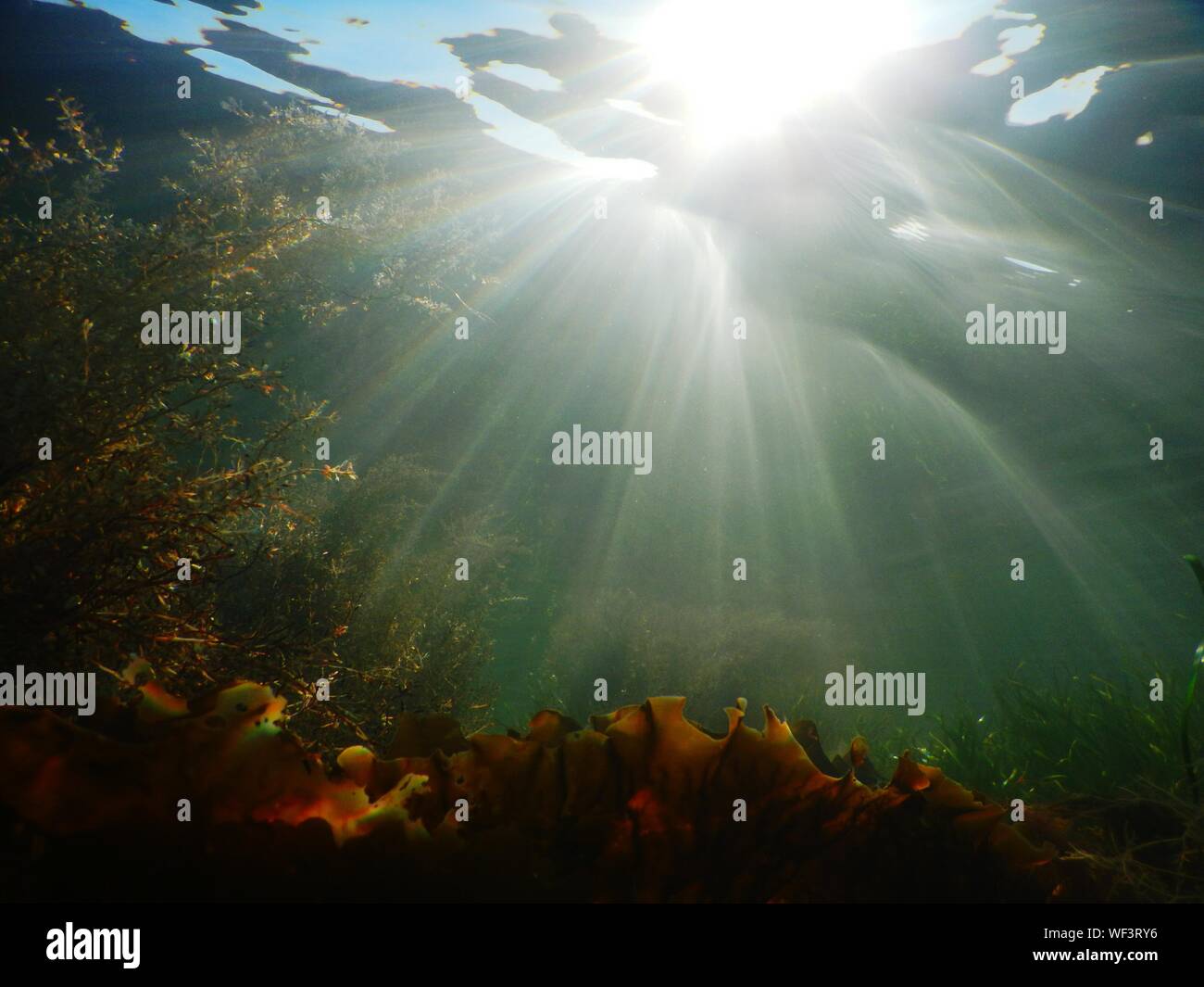 Falling angle hi-res stock photography and images - Alamy