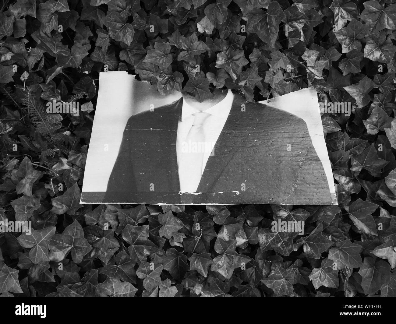 Torn Photograph High Resolution Stock Photography and Images - Alamy