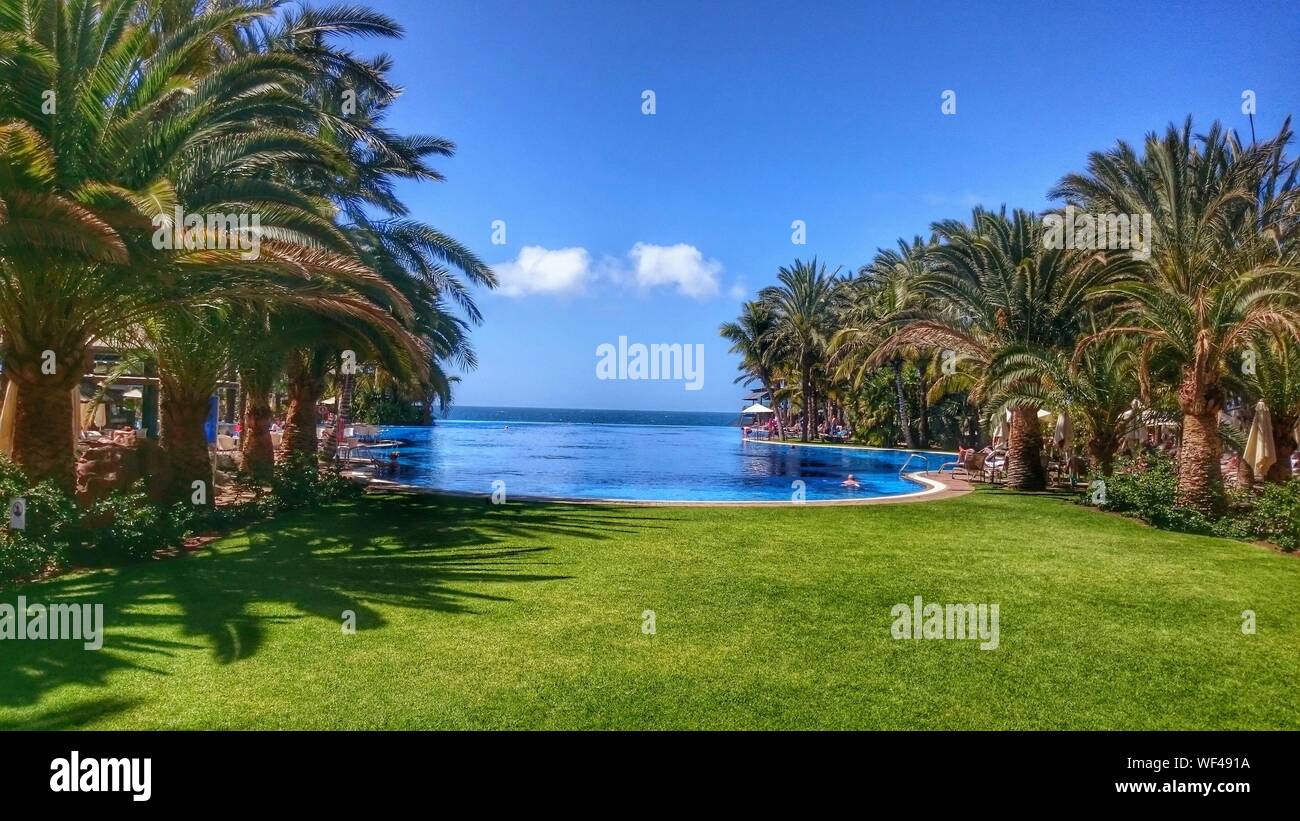 Palm trees lakeside hi-res stock photography and images - Alamy